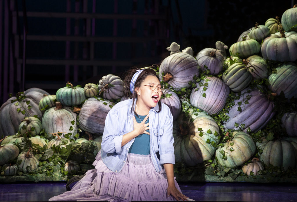 Cinderella – Musical – Village Theatre – Shows I've Seen | Theatre Reviews