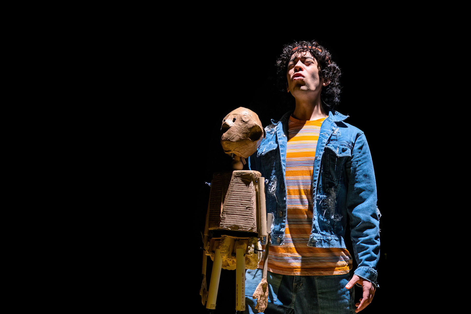 Wolf Play – Review – ACT Theatre – Shows I've Seen | Theatre Reviews