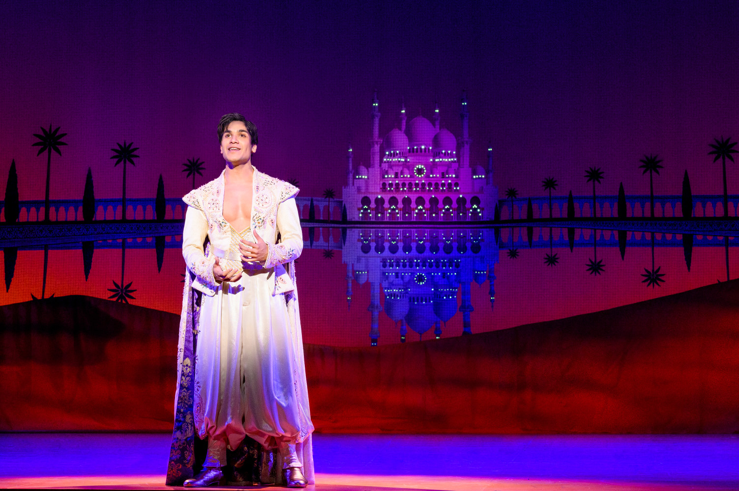Aladdin – Musical – Review – Paramount Theatre – Shows I've Seen ...